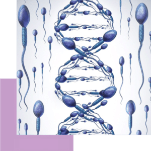 DNA Fragmentation Testing - Institute of Life
