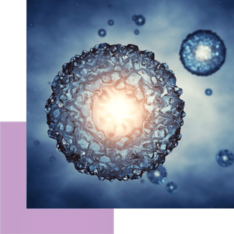 Cryoconservation des ovocytes - Institute of Life